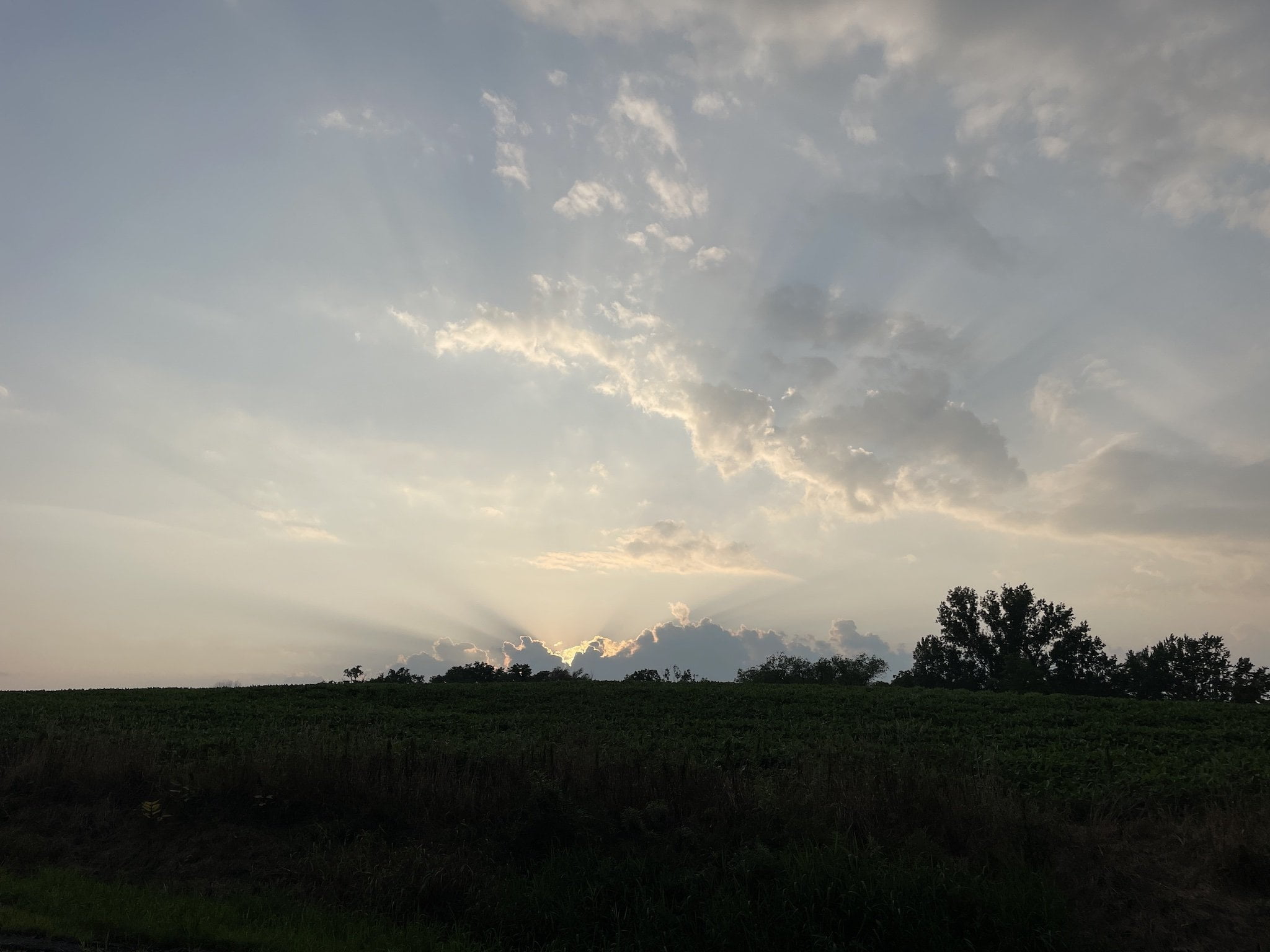 Gratitude Of Love - The Piano In The Dining Room - Stan Stewart - @muz4now